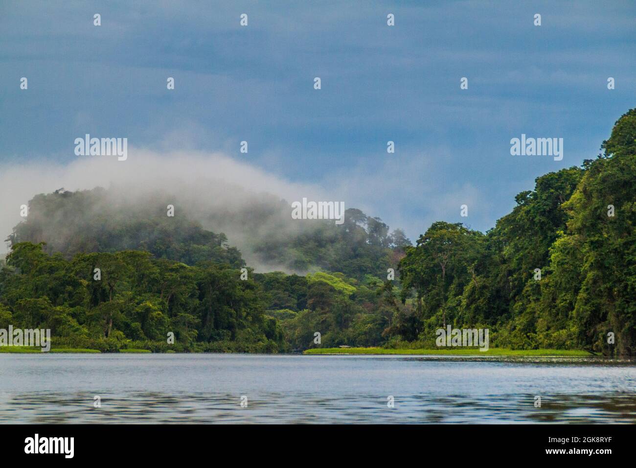 Misty morning near Tortuguero, Costa Rica Stock Photo - Alamy