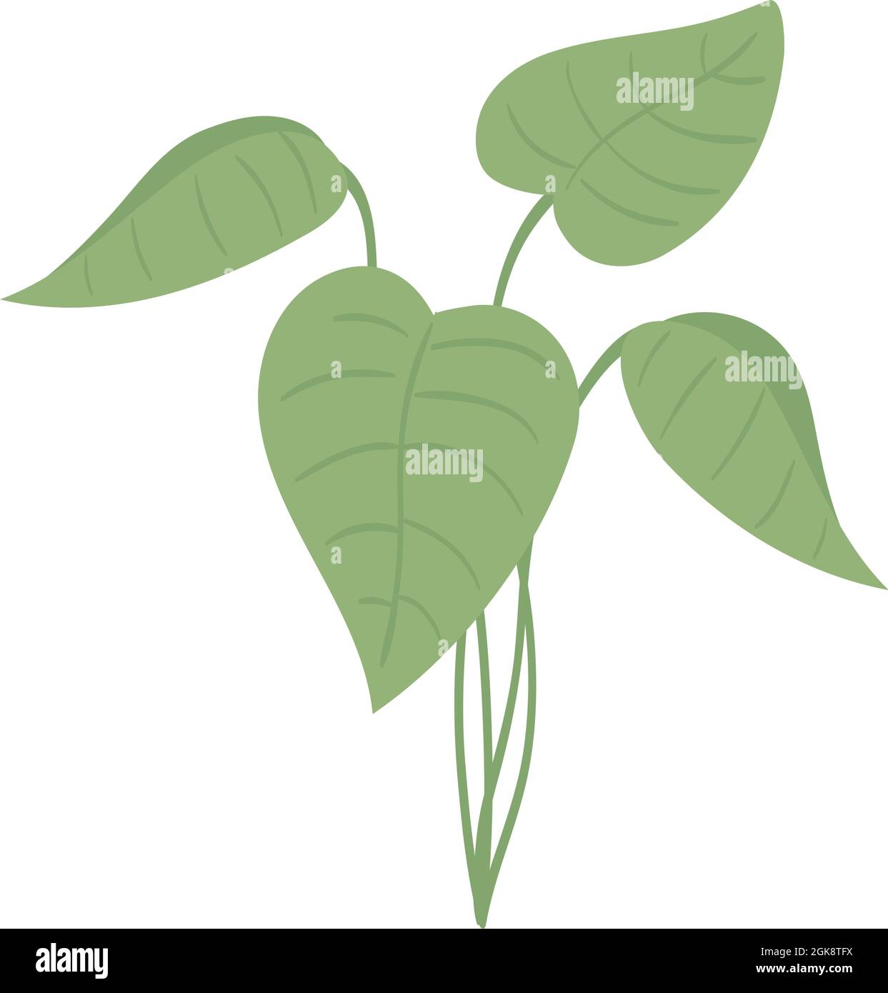 plant leaf ecological Stock Vector Image & Art - Alamy