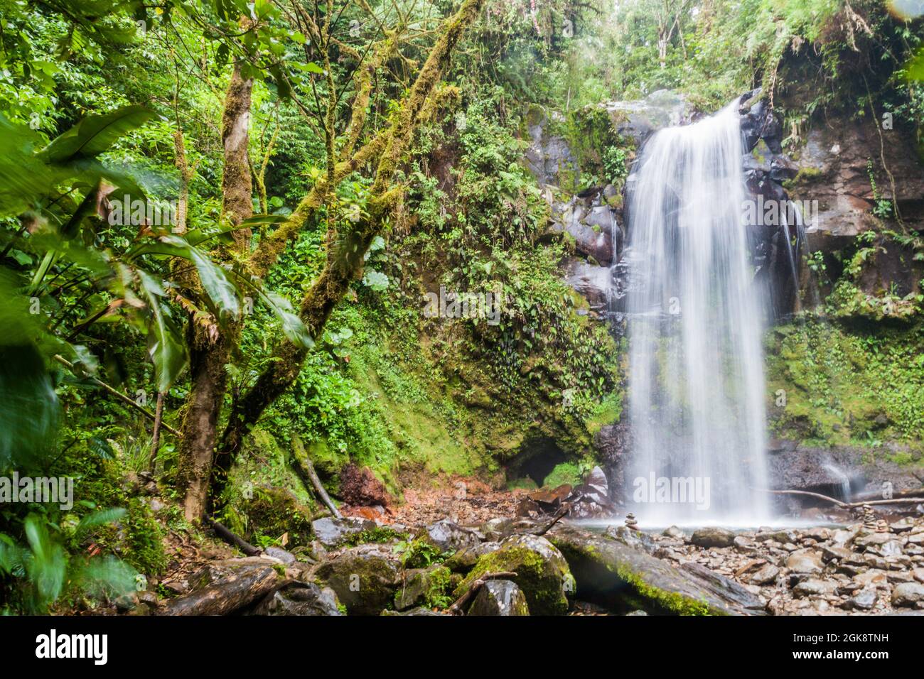 Waterfall near Boquete, Panama. Accessible by Lost Waterfalls hiking ...