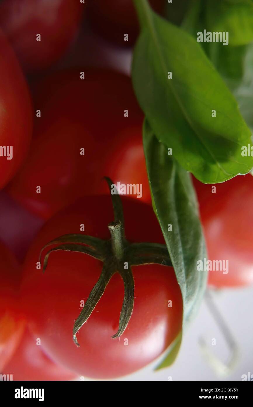 Close up of fresh tomatoes Stock Photo - Alamy