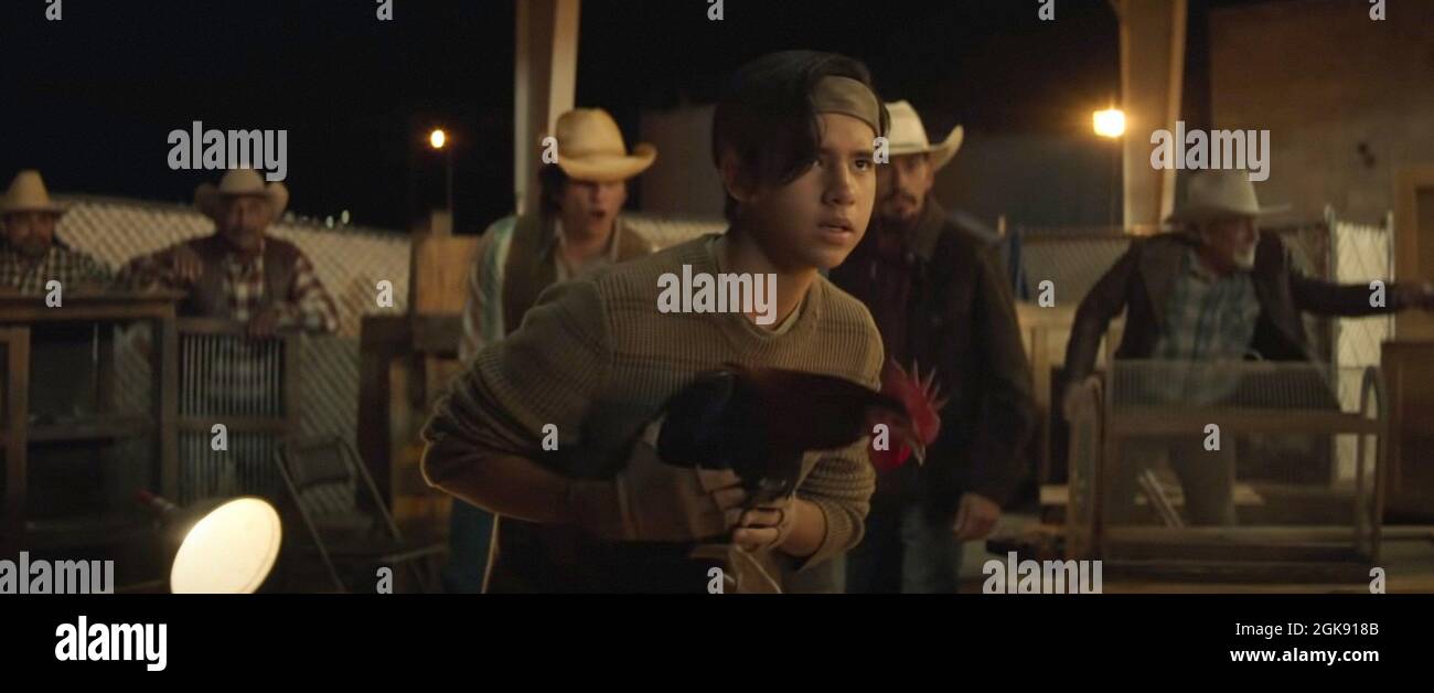 CRY MACHO, Eduardo Minett, 2021. © Warner Bros. / Courtesy Everett ...