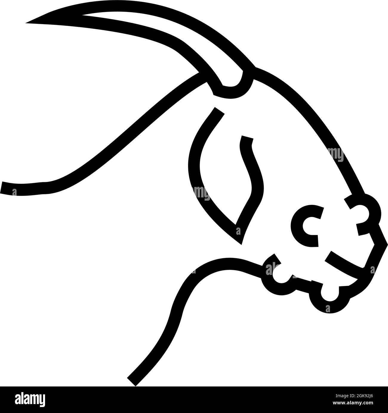 orf virus line icon vector illustration Stock Vector Image & Art - Alamy