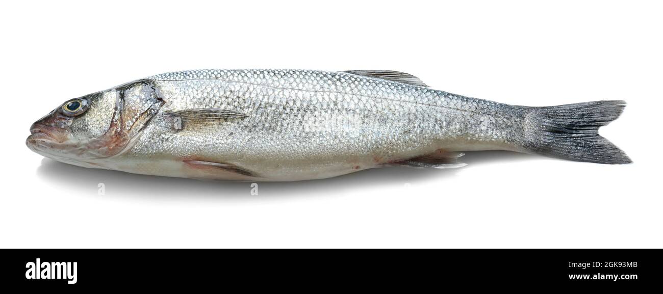 Fresh fish on white background Stock Photo - Alamy