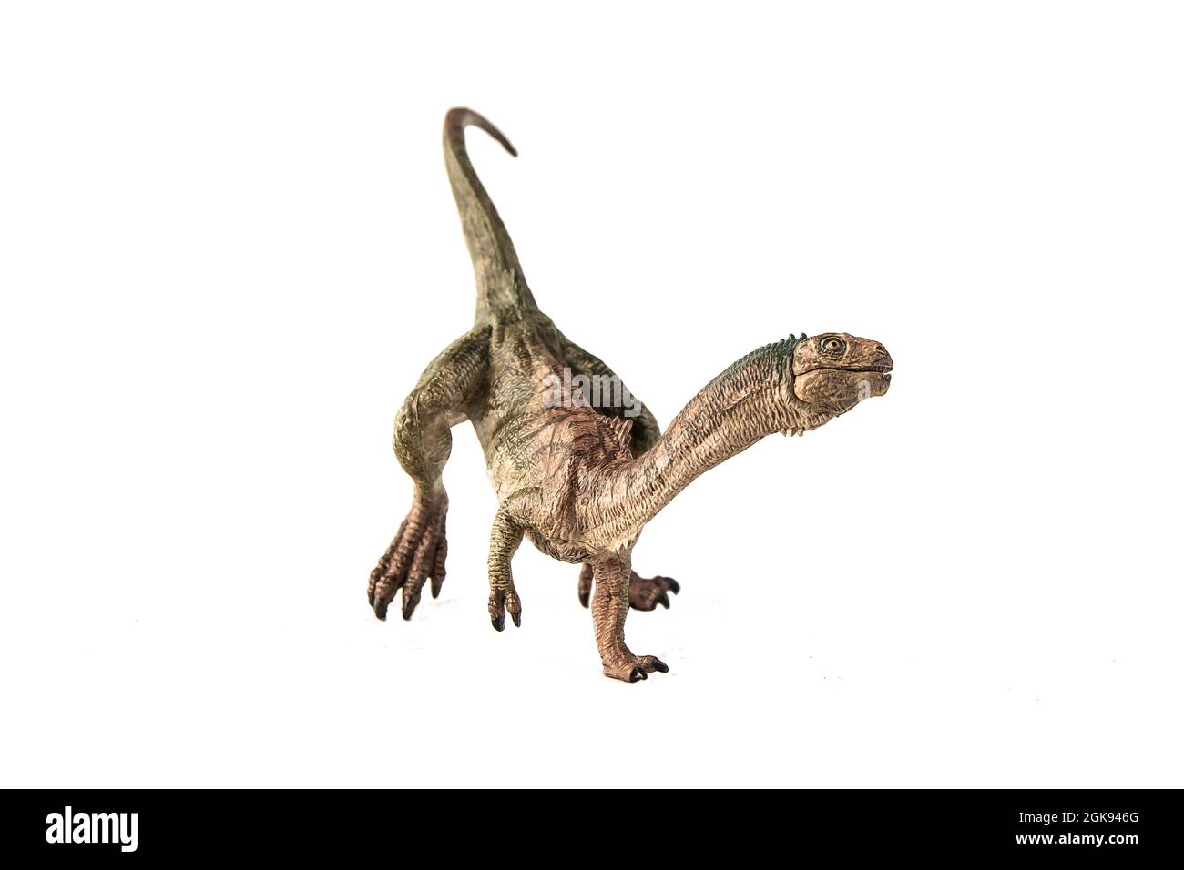 Chilesaurus Dinosaur on white background Stock Photo - Alamy