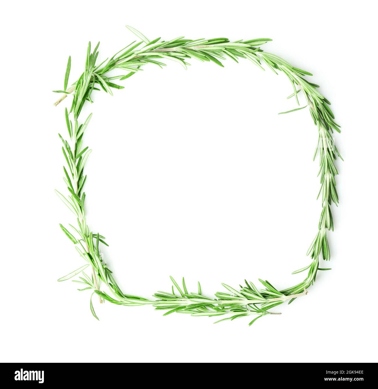 Frame of rosemary on white background Stock Photo - Alamy