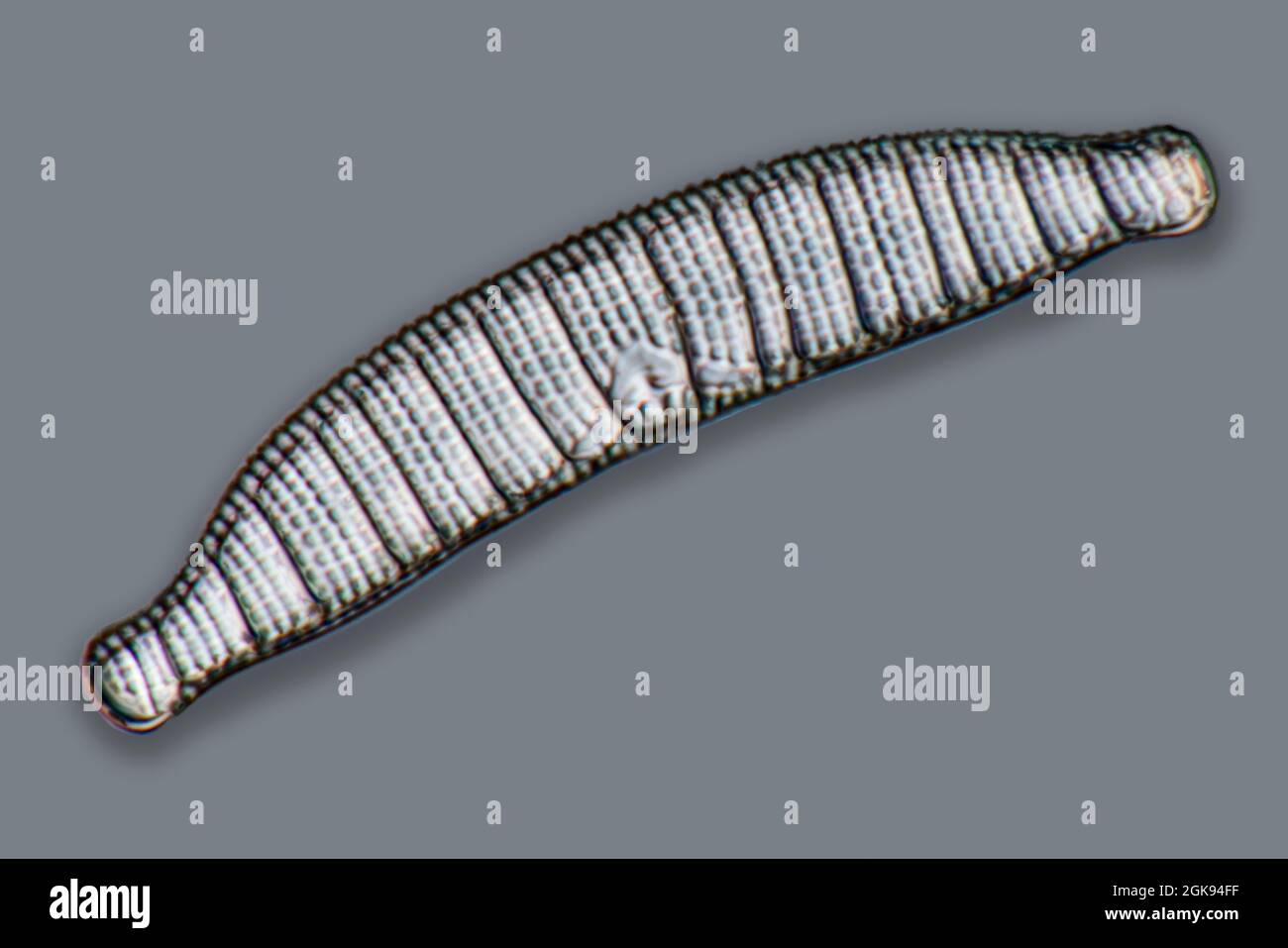 140 mm hi-res stock photography and images - Alamy