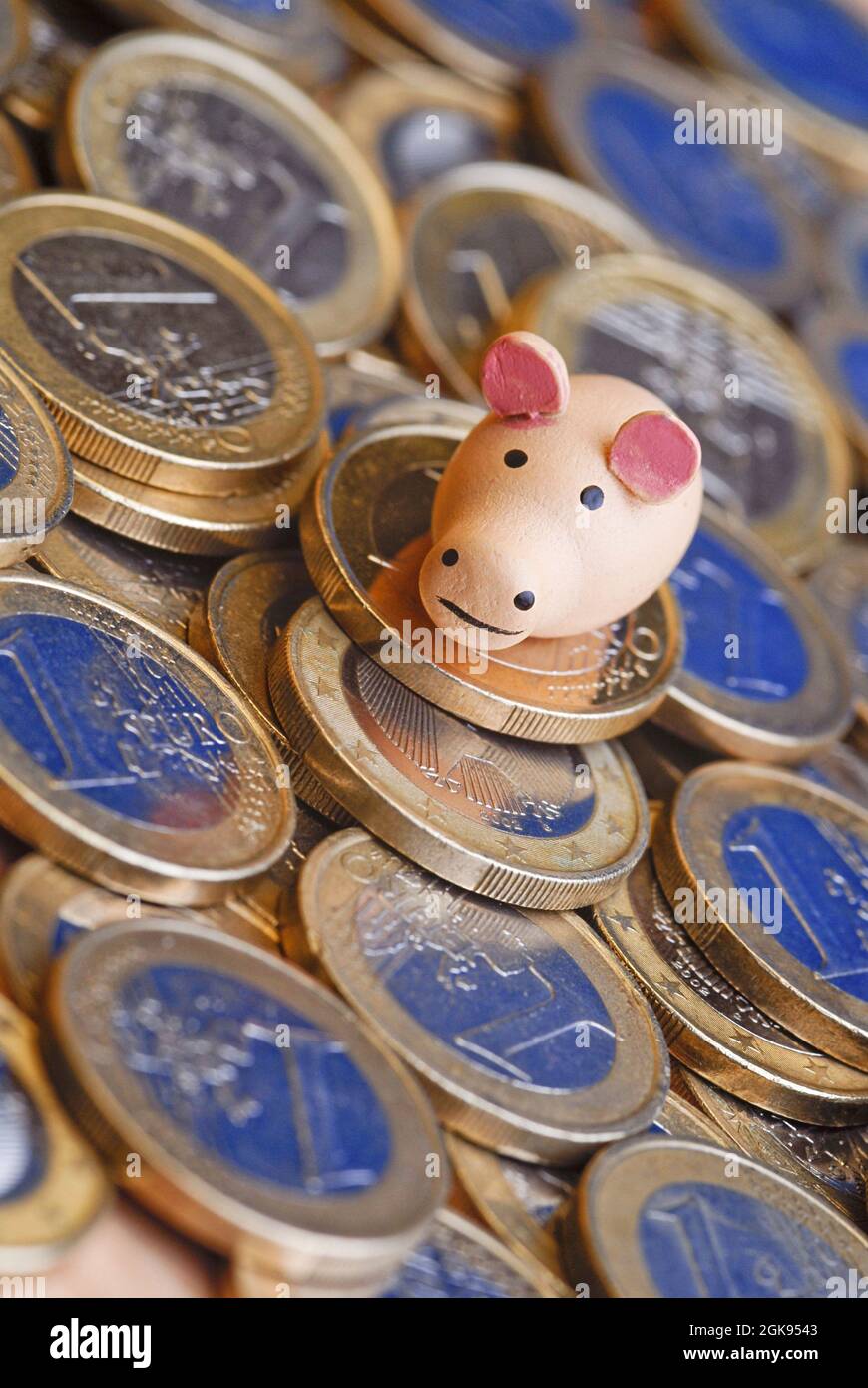 Lucky his pigs hi-res stock photography and images - Alamy