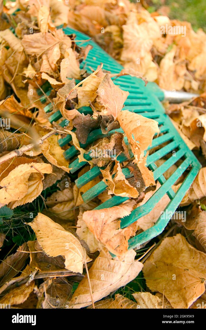 Rake vertical hi-res stock photography and images - Alamy