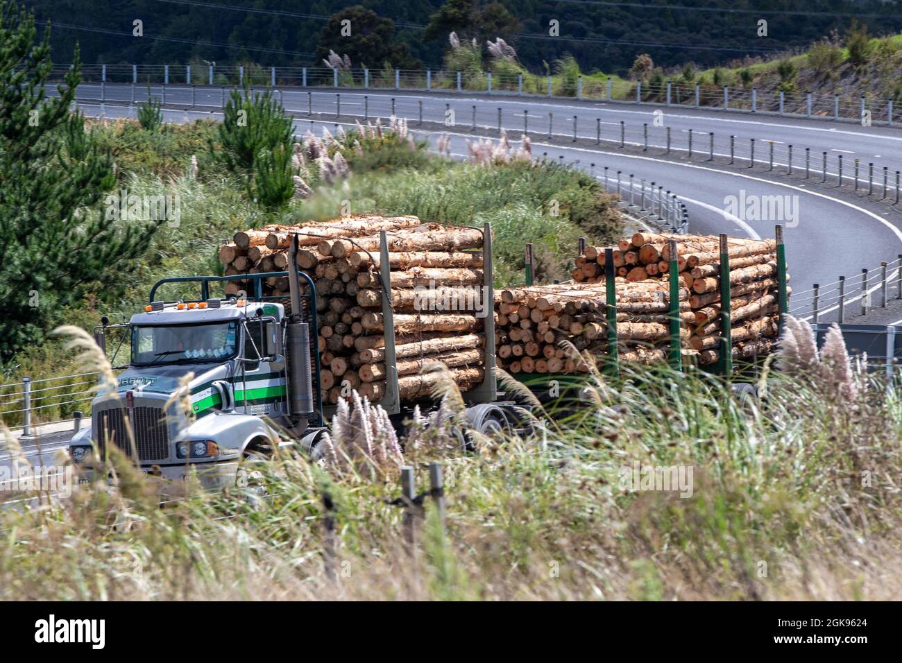 Logging in new zealand hi-res stock photography and images - Alamy