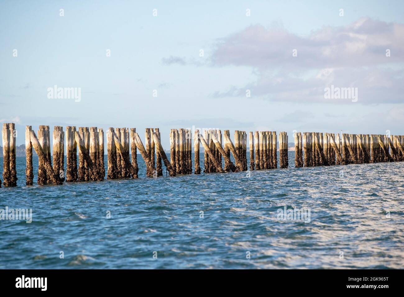 Timber sea wall hi-res stock photography and images - Alamy
