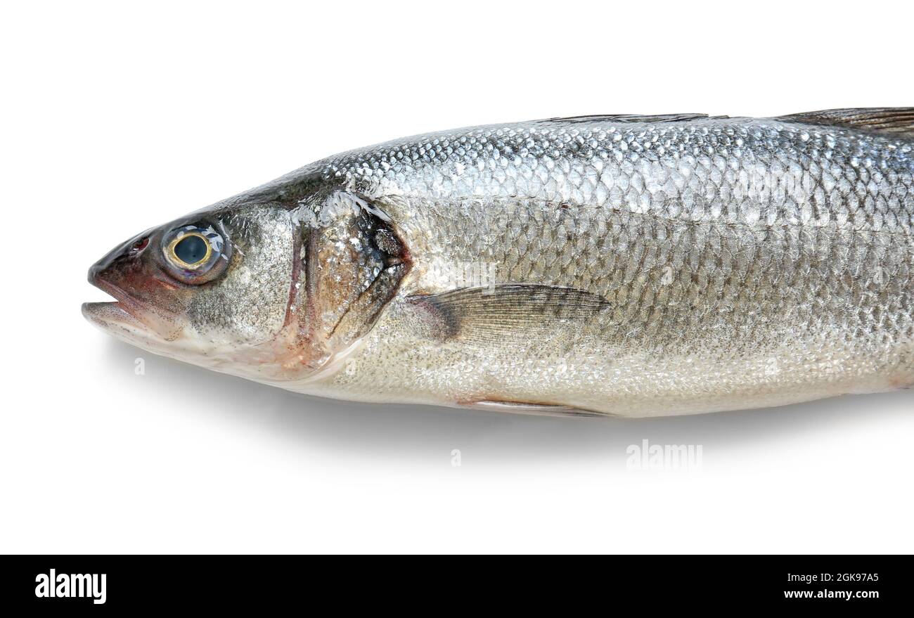 Fresh fish on white background Stock Photo - Alamy