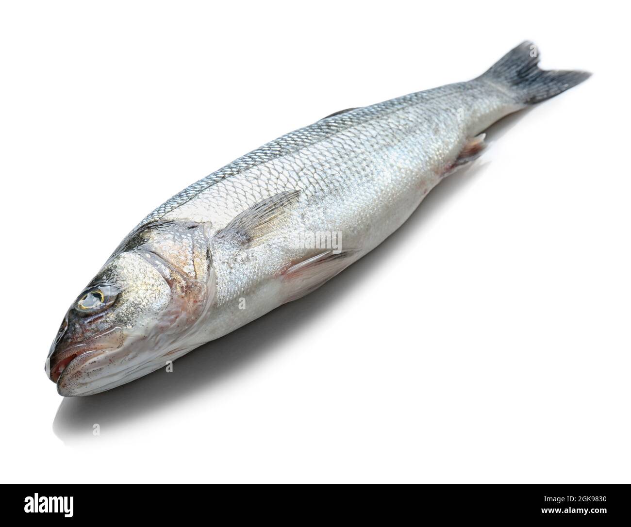 Fresh fish on white background Stock Photo - Alamy