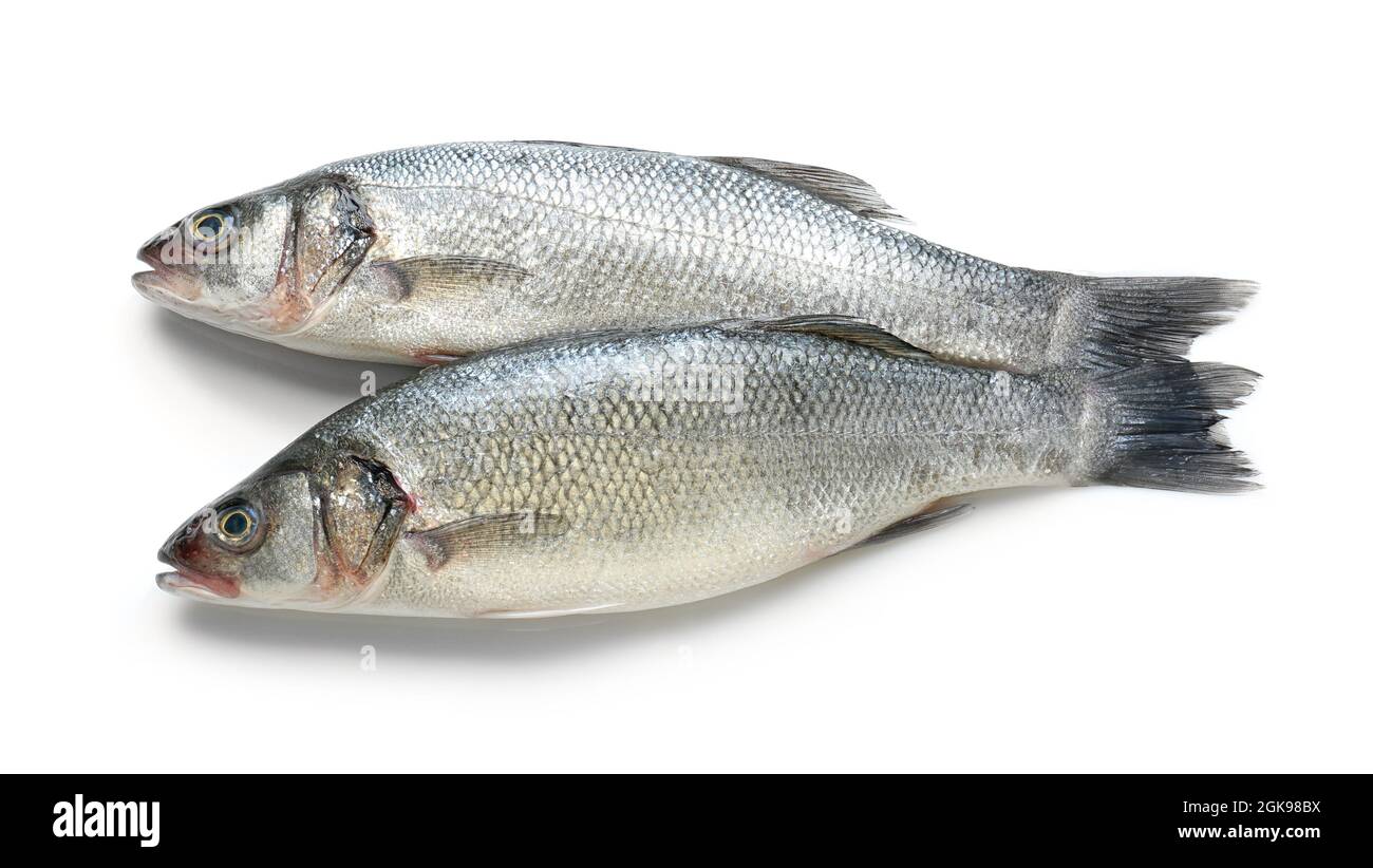 Fresh fish on white background Stock Photo - Alamy