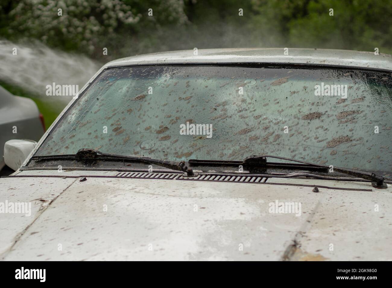 A dirty car is being washed. White car covered in mud. The car is in ...
