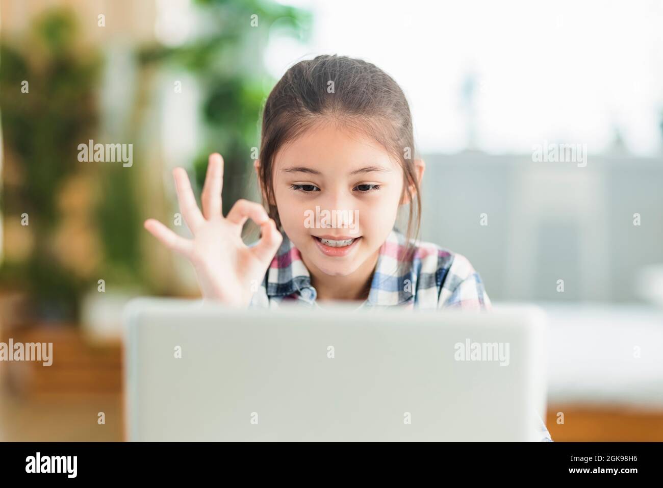 Happy student girl study online on laptop.Showing ok gesture Stock ...