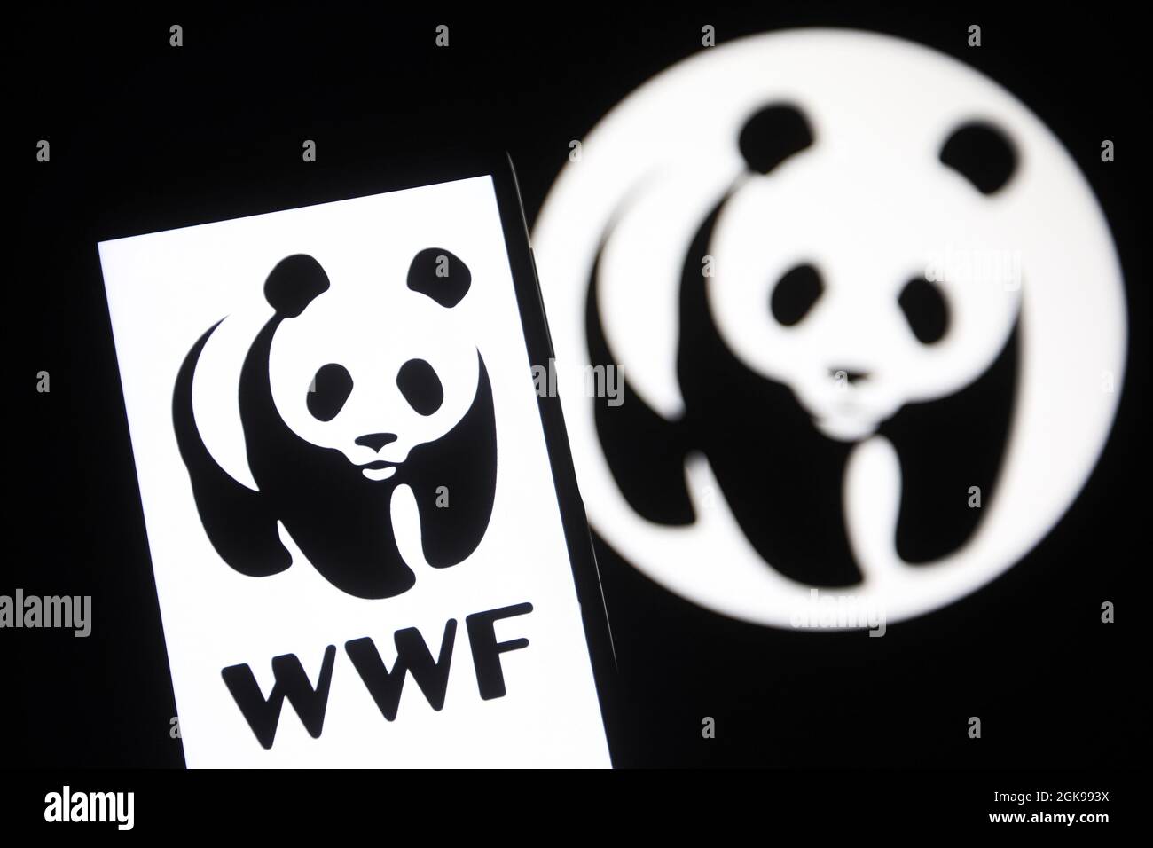 Ukraine. 13th Sep, 2021. In this photo illustration a World Wide Fund ...