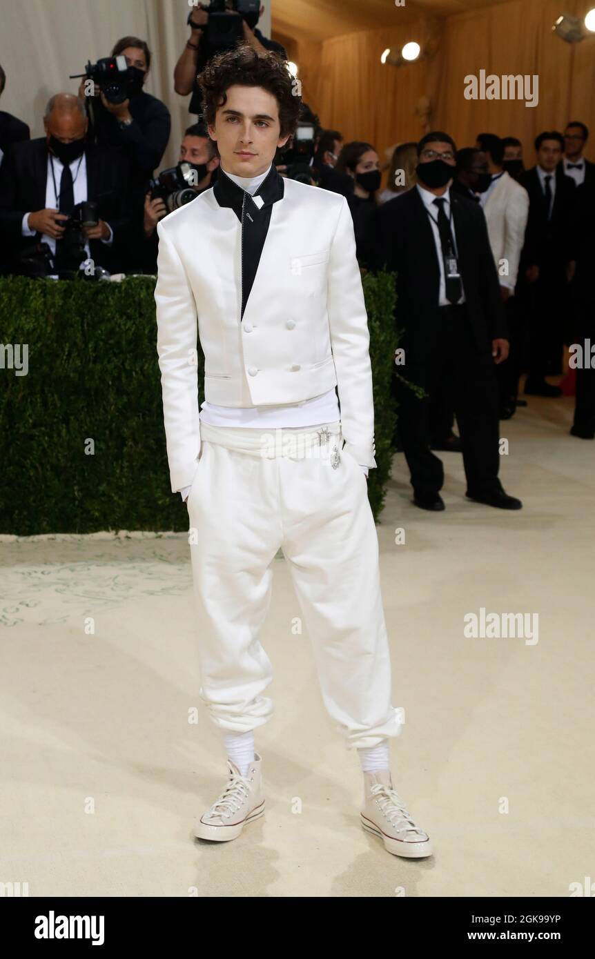 Timothee chalamet met gala hi-res stock photography and images - Alamy