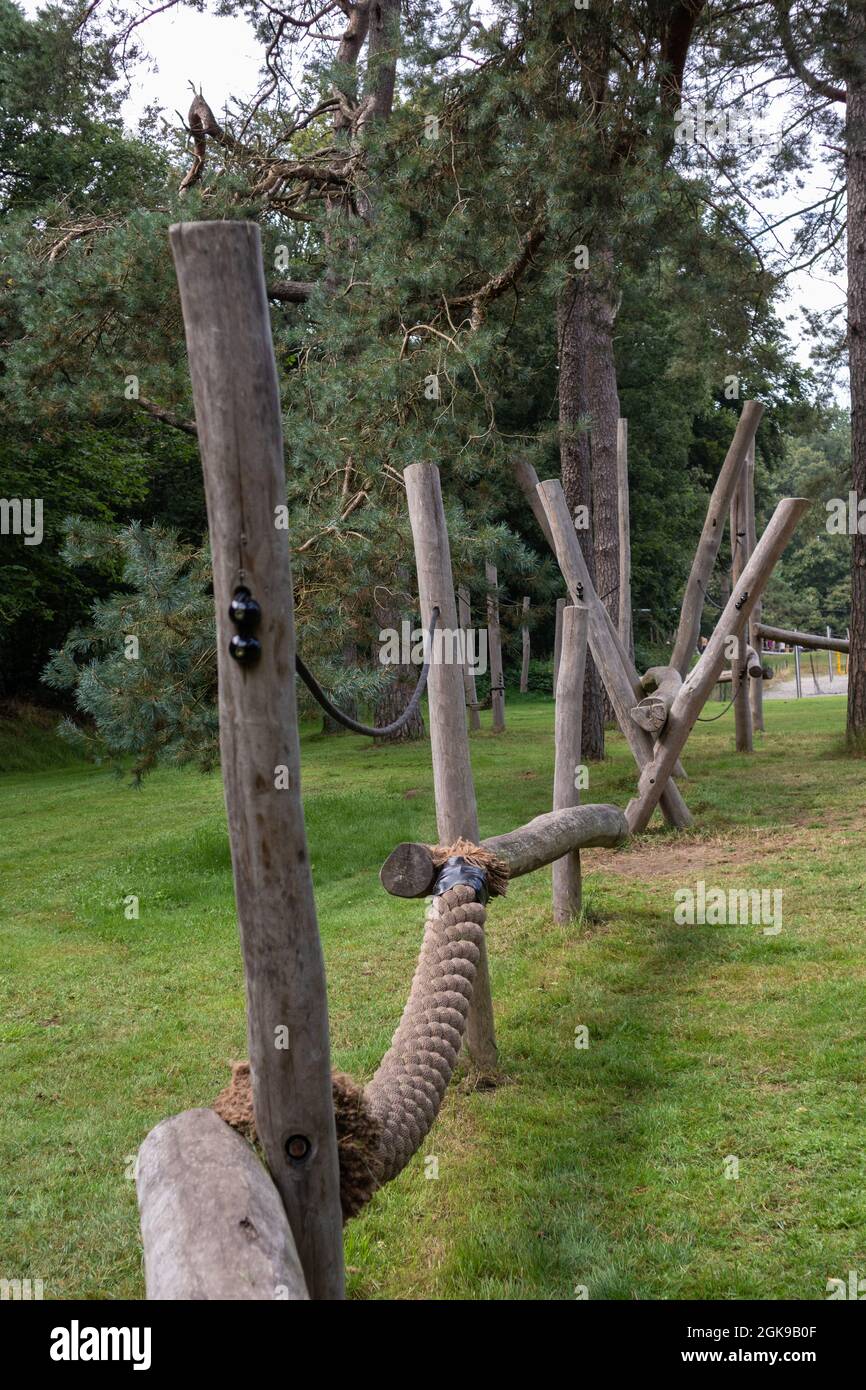 Vertical shot of an obstacle route in the forest Stock Photo - Alamy