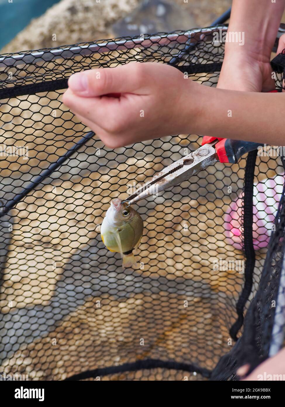 Fisherman hands that cough a small fish Stock Photo - Alamy