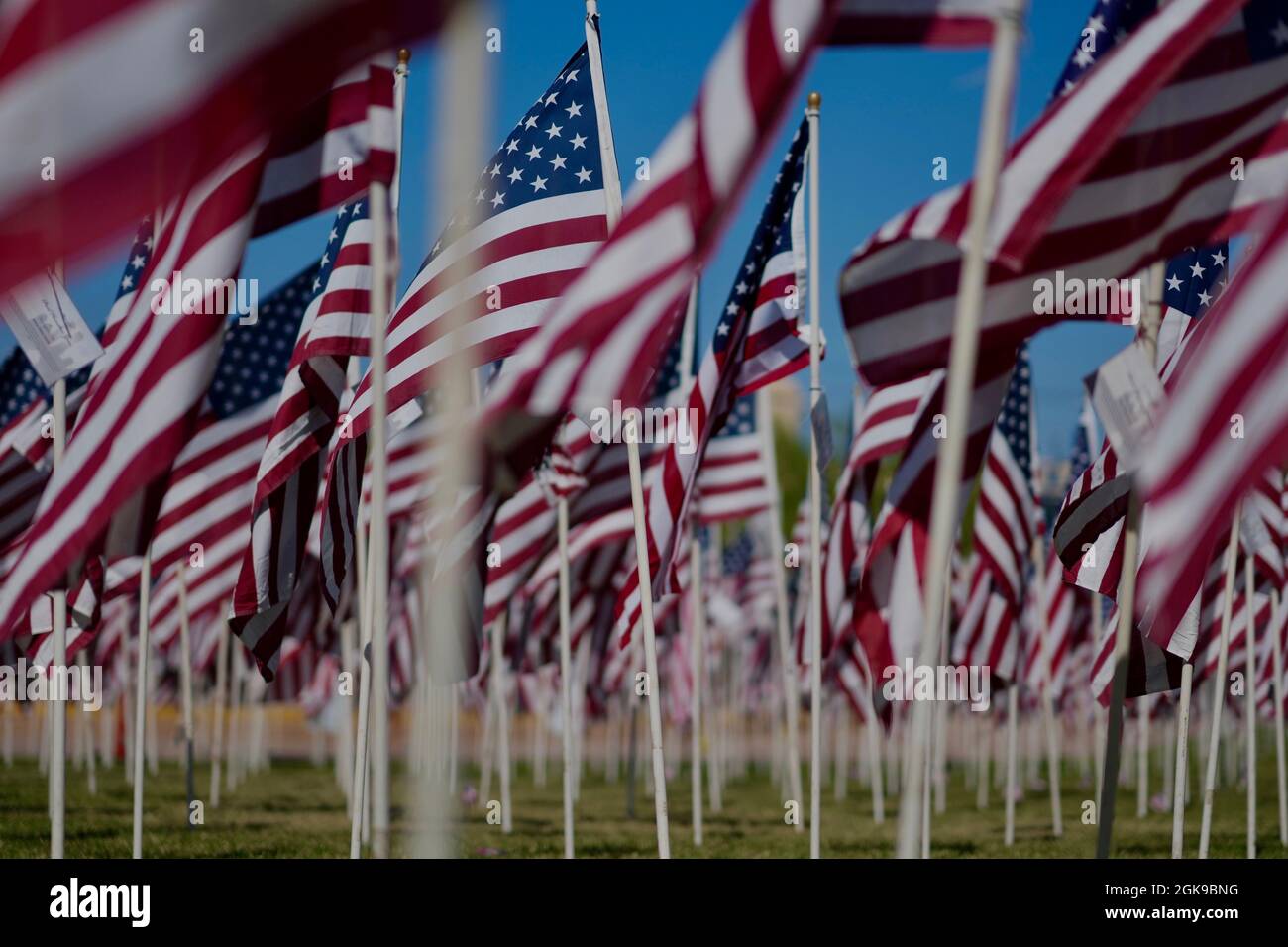 Grouping flag american hi-res stock photography and images - Alamy