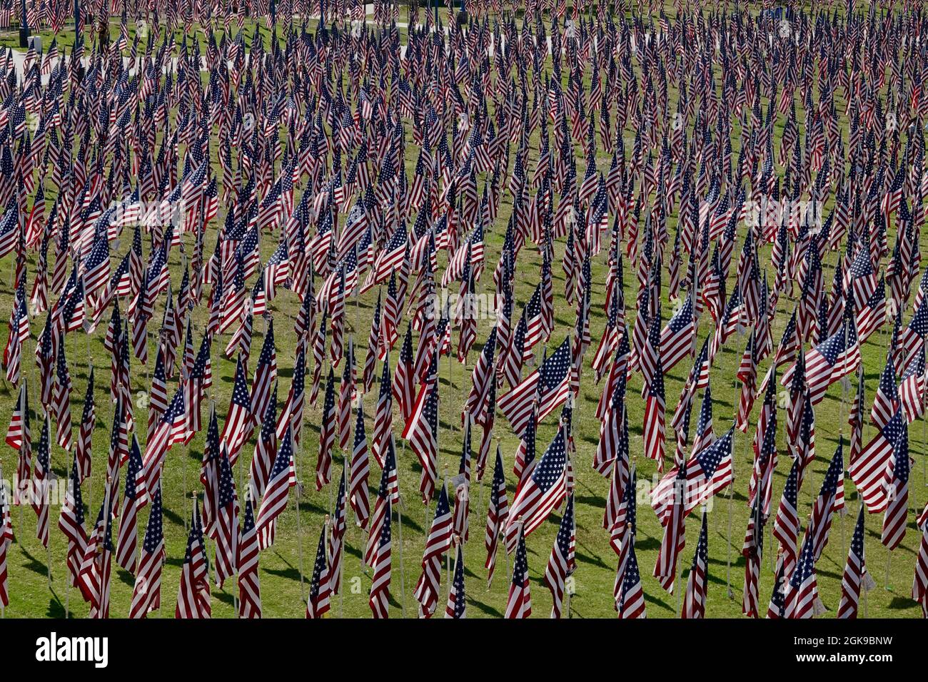A collection of American flags placed together in a field Stock Photo ...