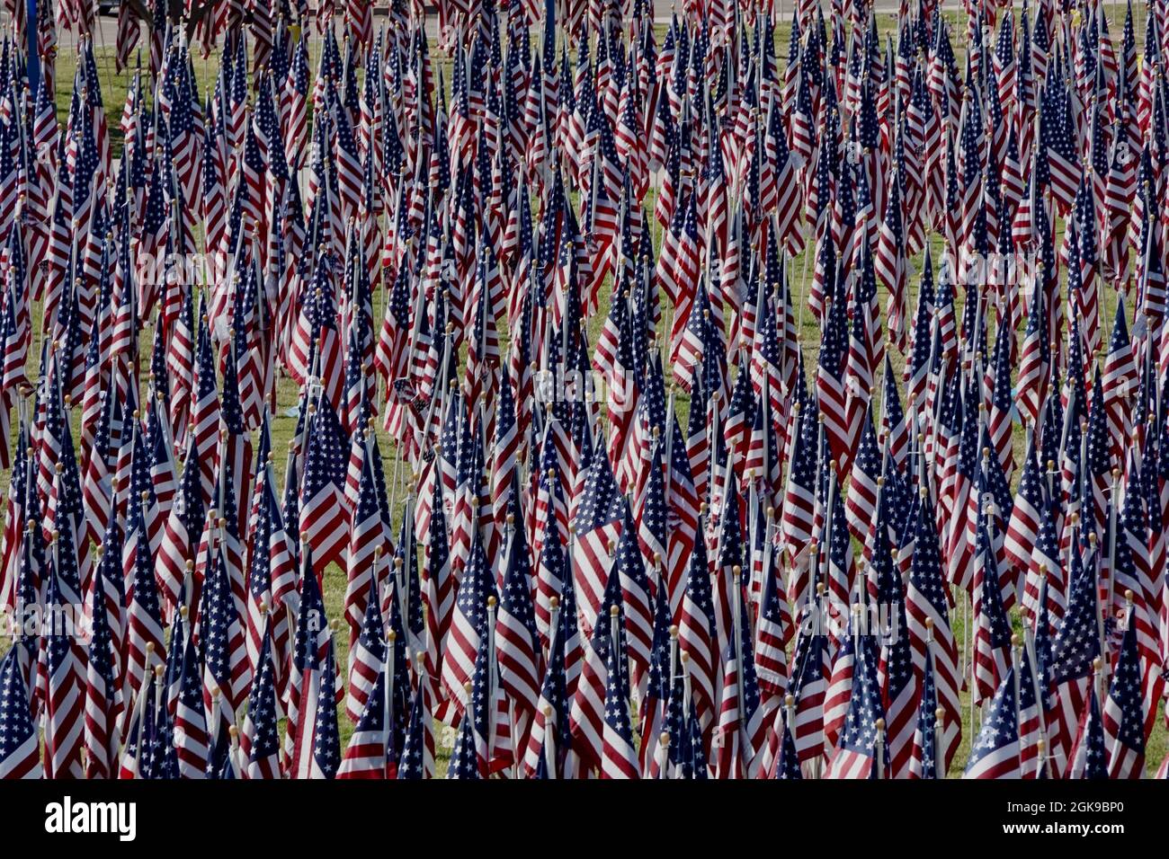 A collection of American flags placed together in a field Stock Photo ...