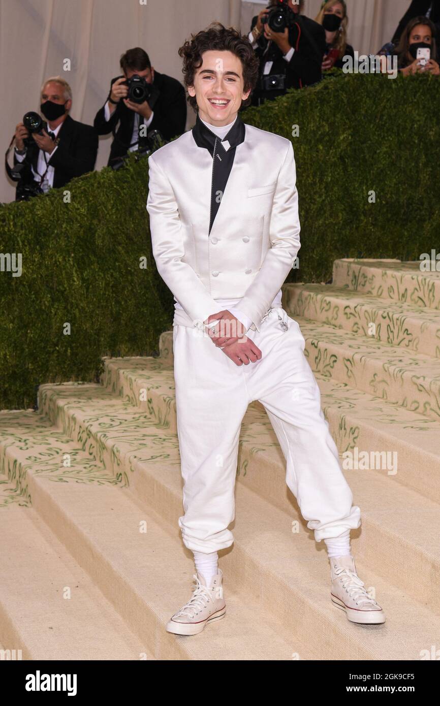 Timothee chalamet met gala hi-res stock photography and images - Alamy