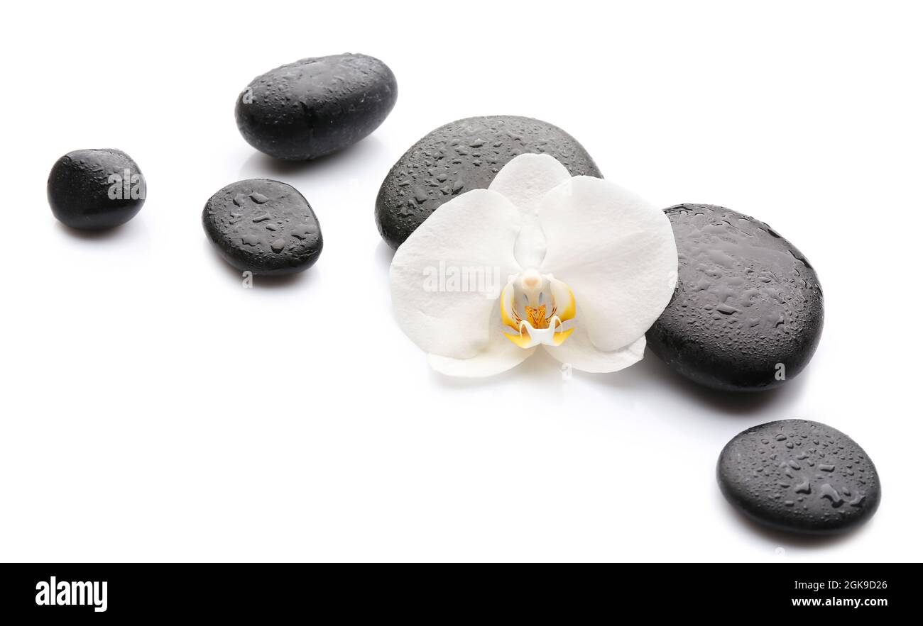 Beautiful orchid flower with stones on white background Stock Photo - Alamy