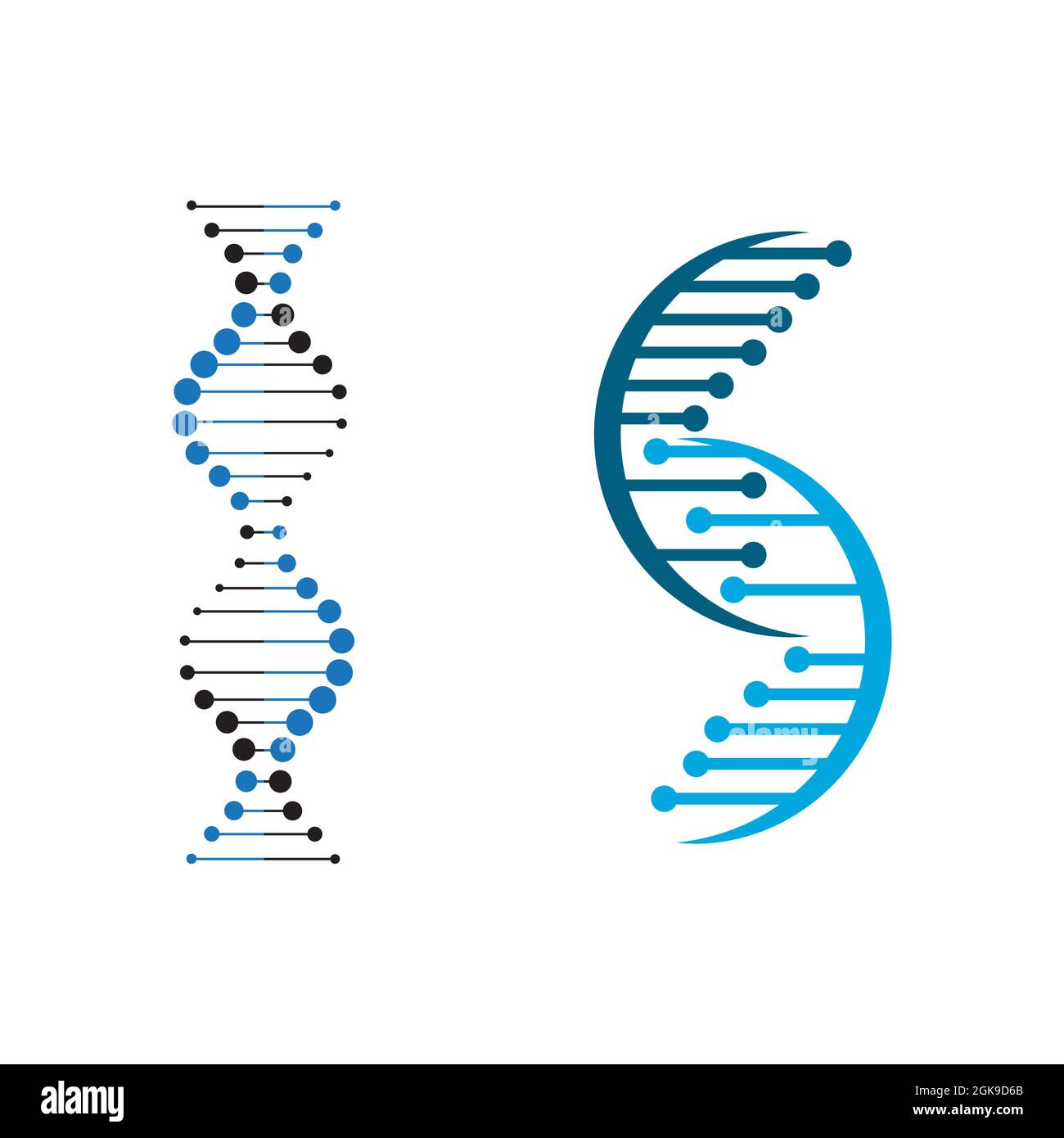 Dna Vector Illustrator
