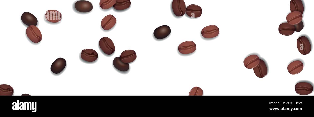 Realistic coffee beans on white background - Vector illustration Stock ...