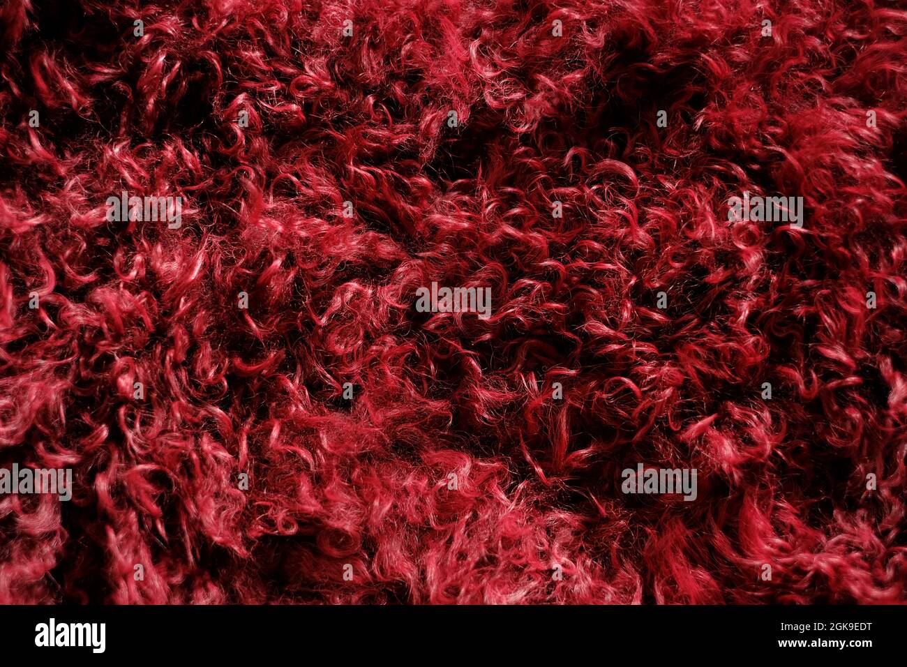 Fur background. Fluffy burgundy fur texture.Red real wool. Fur texture ...