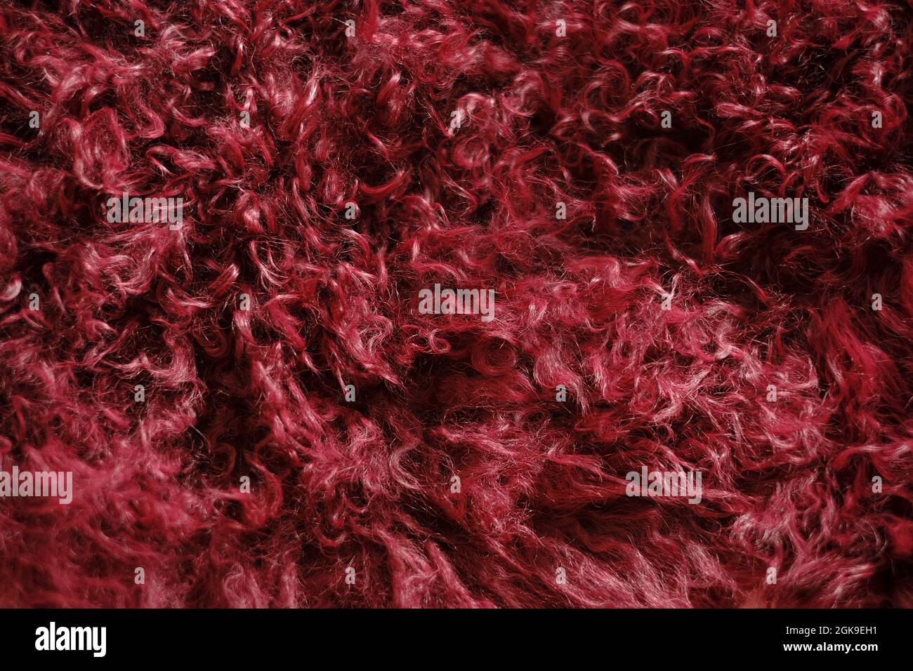 Fur background. burgundy fur texture.Red real wool. Fur texture. Goat ...