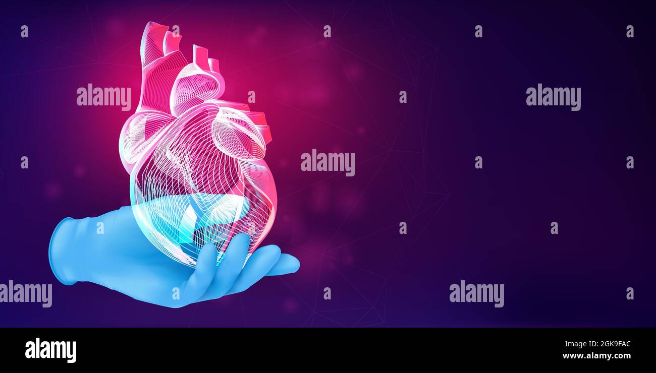 3D human heart silhouette on a doctor's hand in a blue rubber glove ...