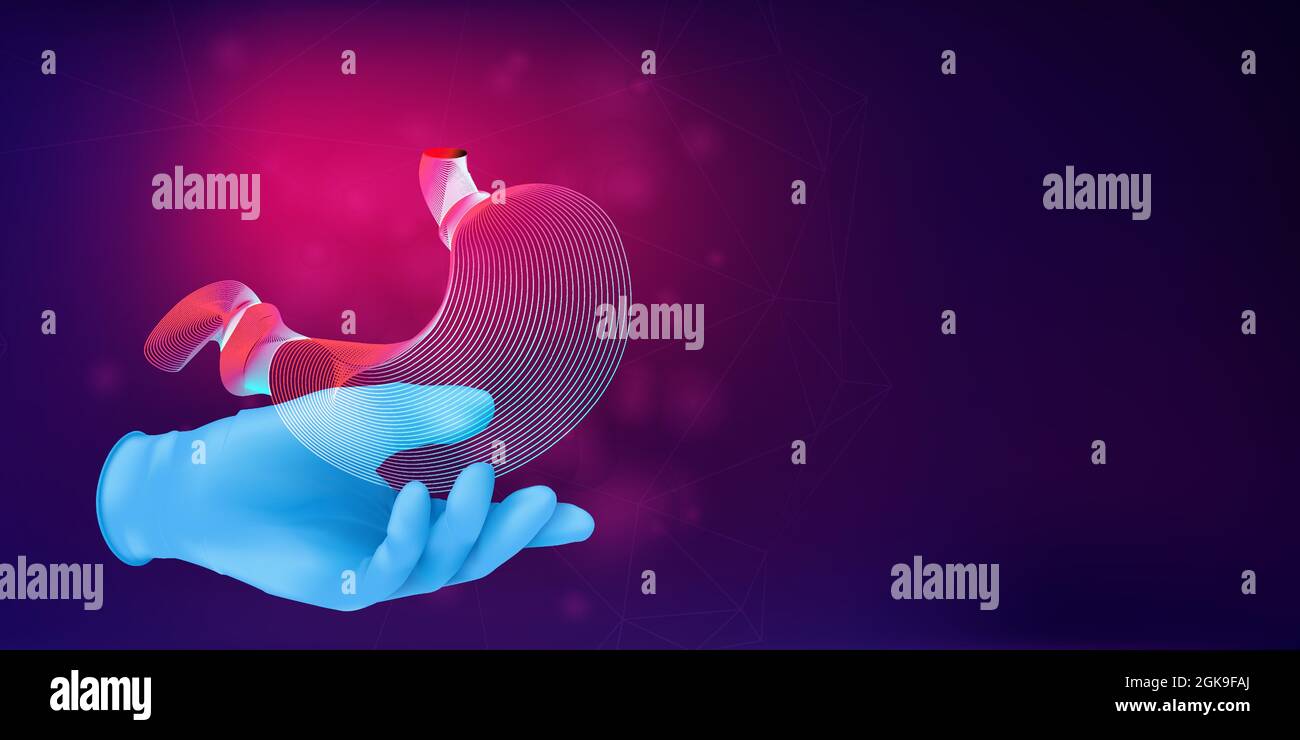 3d abdomen abdominal anatomical hi-res stock photography and images - Alamy