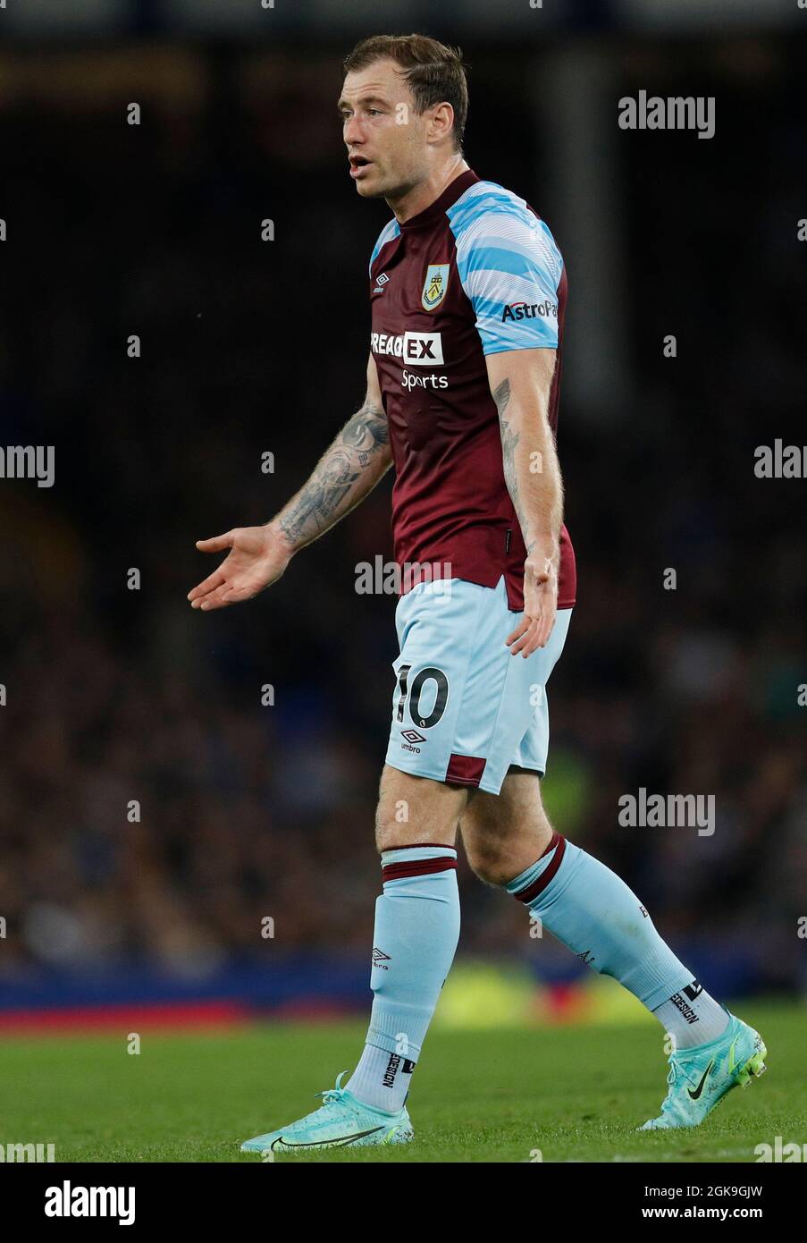 Ashley barnes hi-res stock photography and images - Alamy