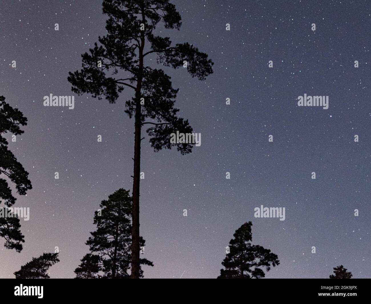 Beautiful shot of a majestic starry sky during the nighttime in a ...