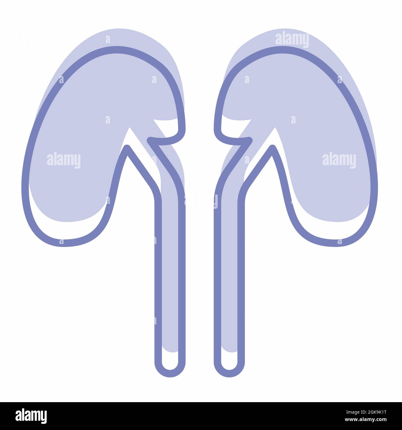 Icon Vector of Kidney - Two Tone Style - Simple illustration, Editable ...