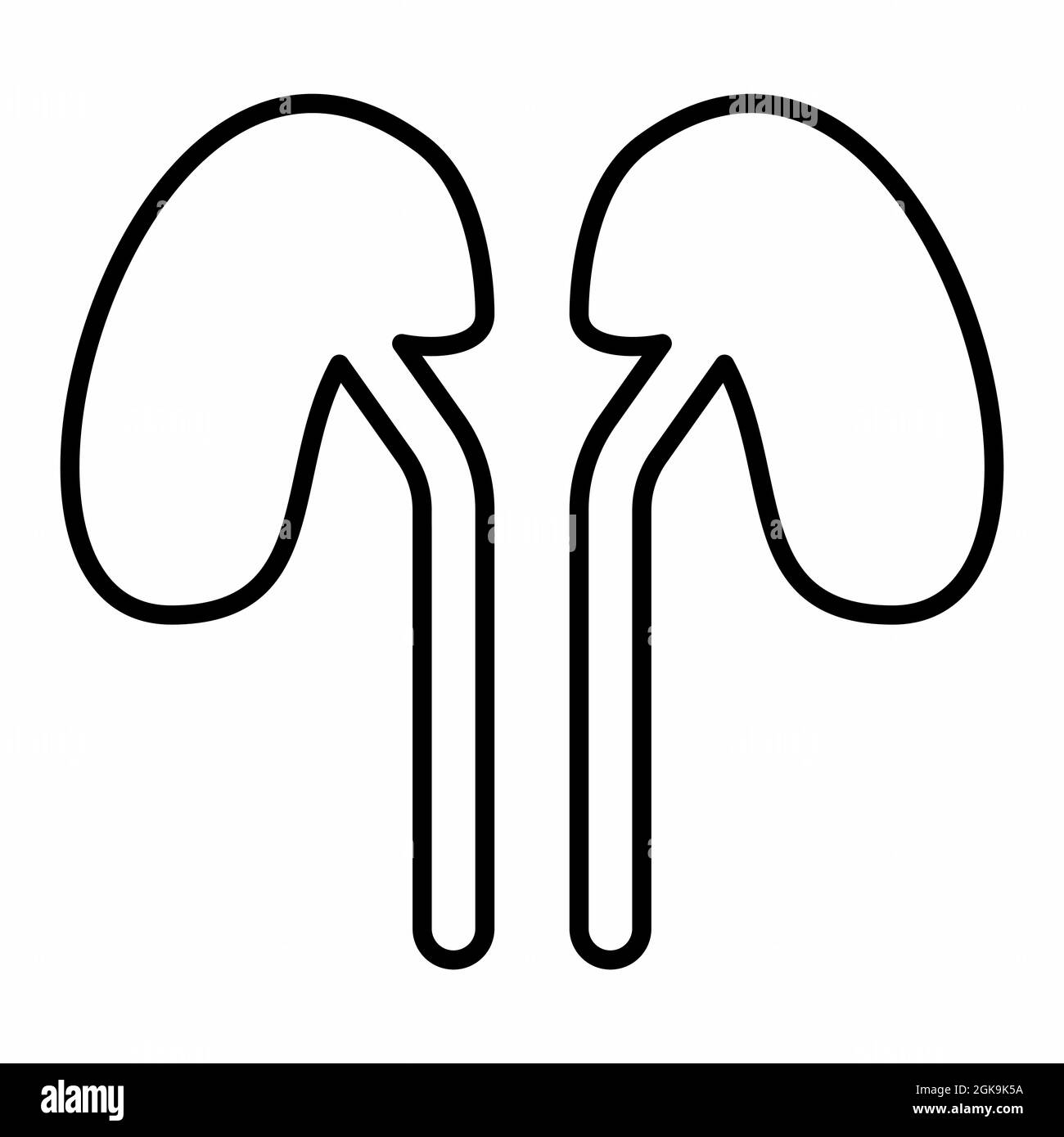 Icon Vector of Kidney - Line Style - Simple illustration, Editable ...
