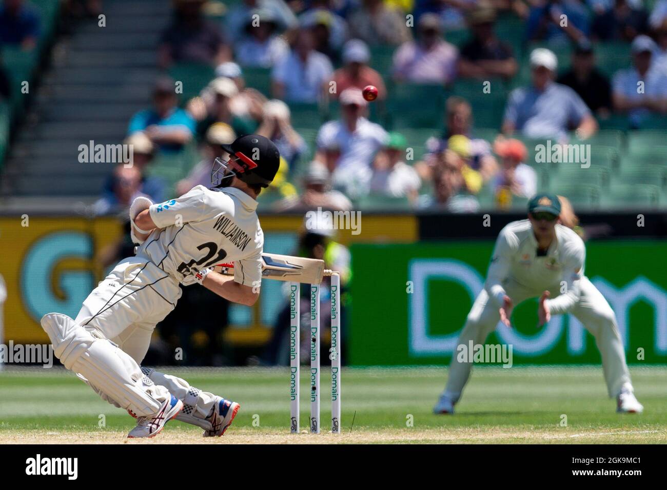 Kane williamson media hi-res stock photography and images - Alamy