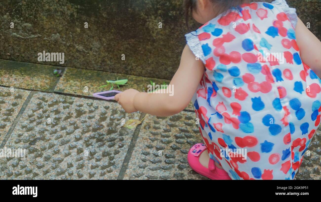 Chinese kid curious and playing with insect, European mantis, Shanghai ...