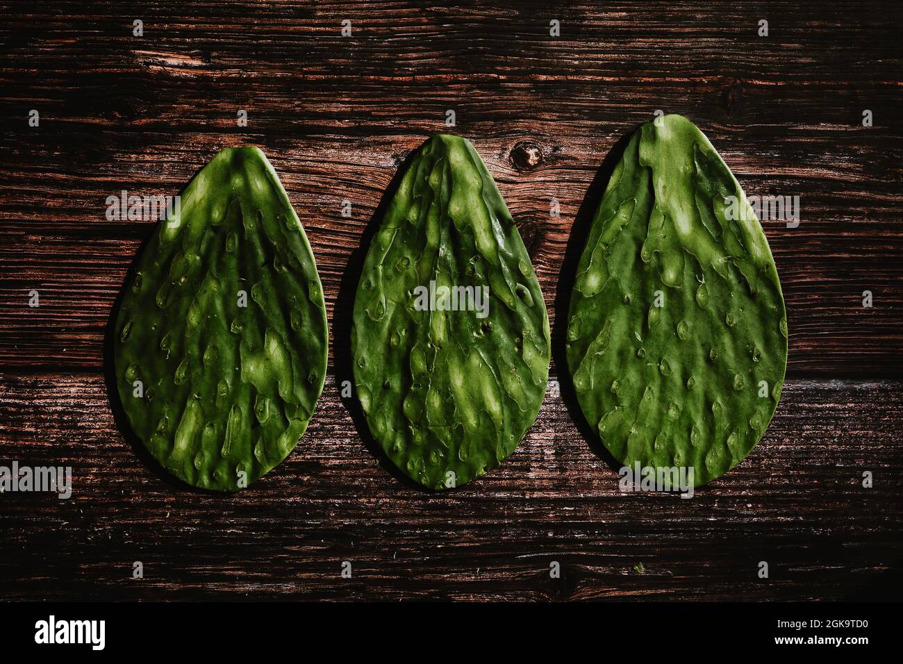 Leave of cactus nopales Mexican food ingredient green food. top view in ...