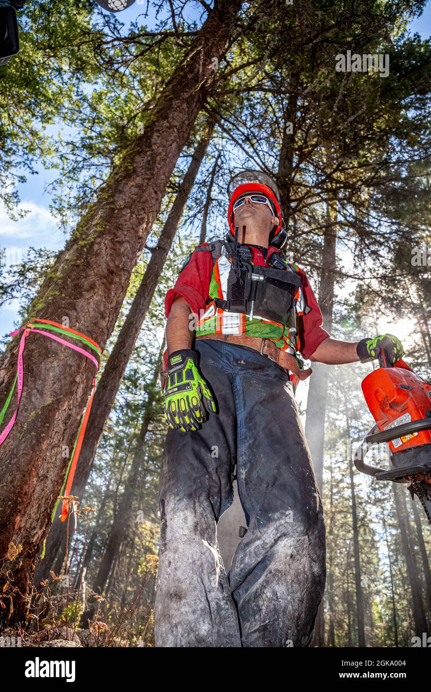 Forest Fire Fighter Stock Photo - Alamy