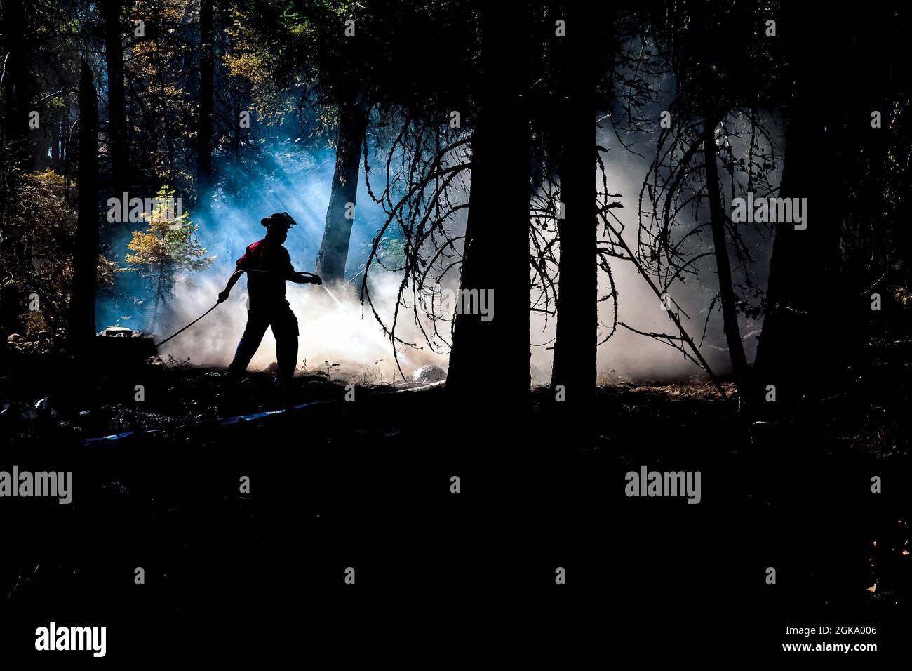 Forest fire fighter Stock Photo - Alamy