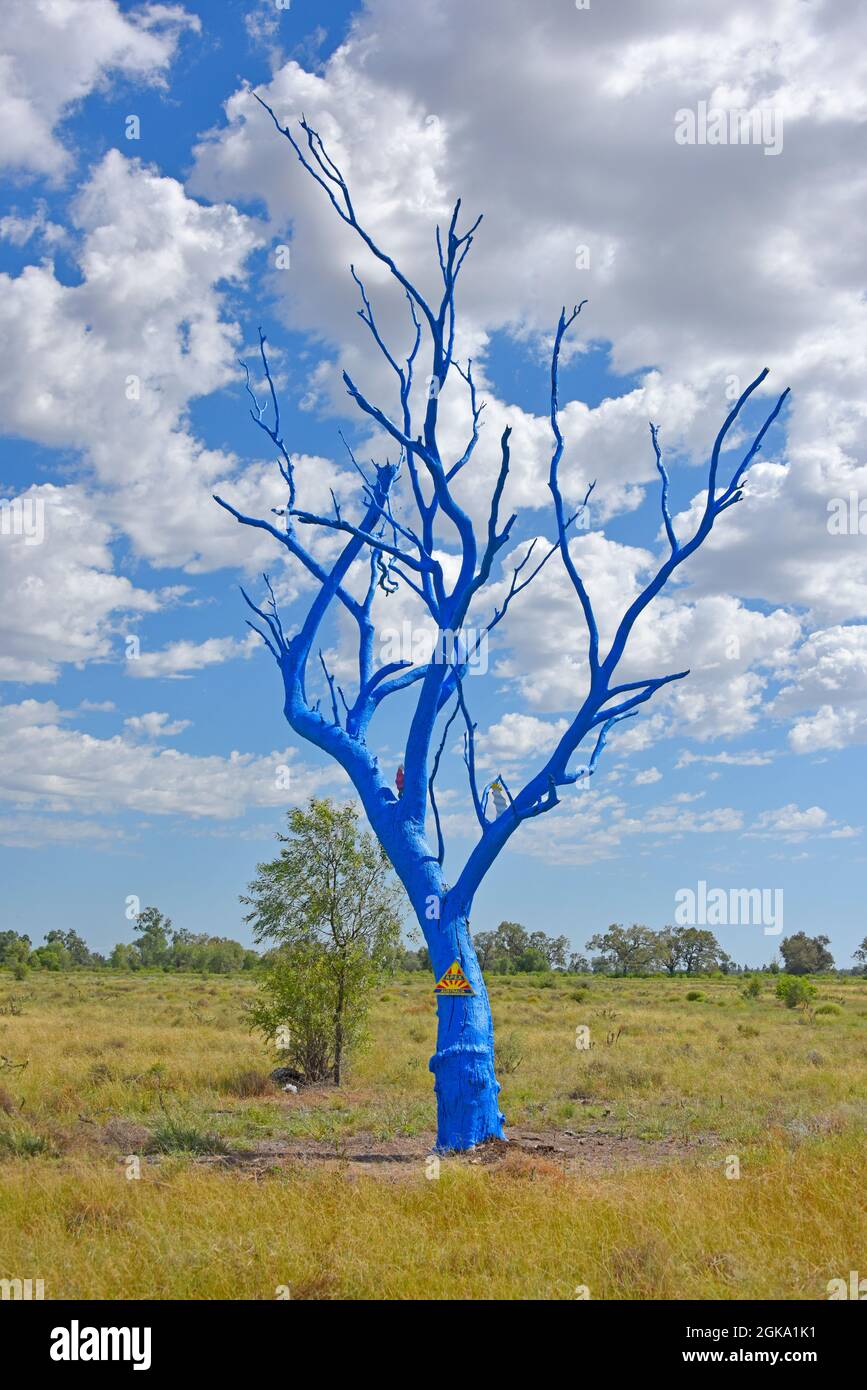 tree painted blue as part of the Blue Tree Project to raise awareness ...