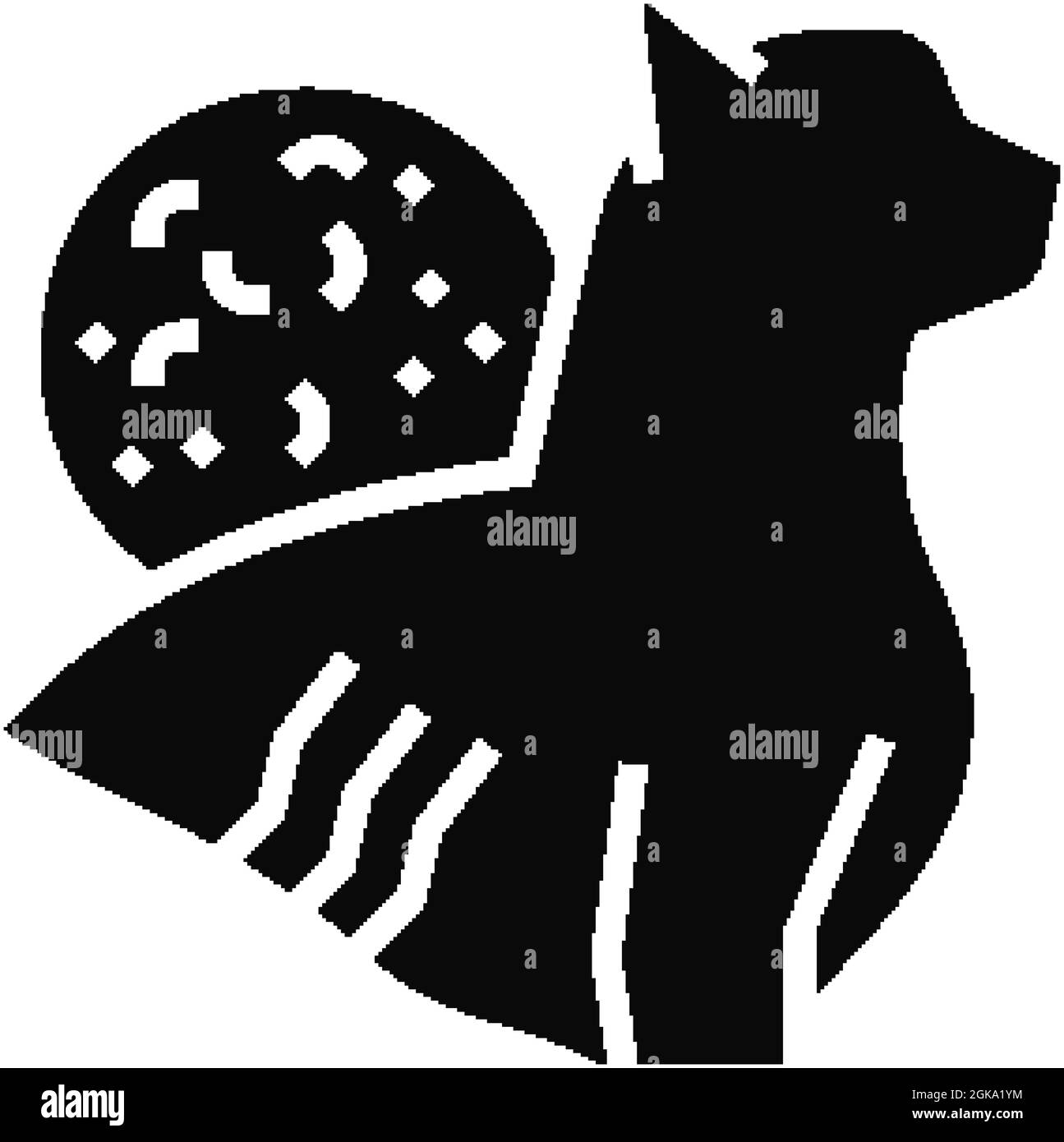 cat scratch disease glyph icon vector illustration Stock Vector Image ...