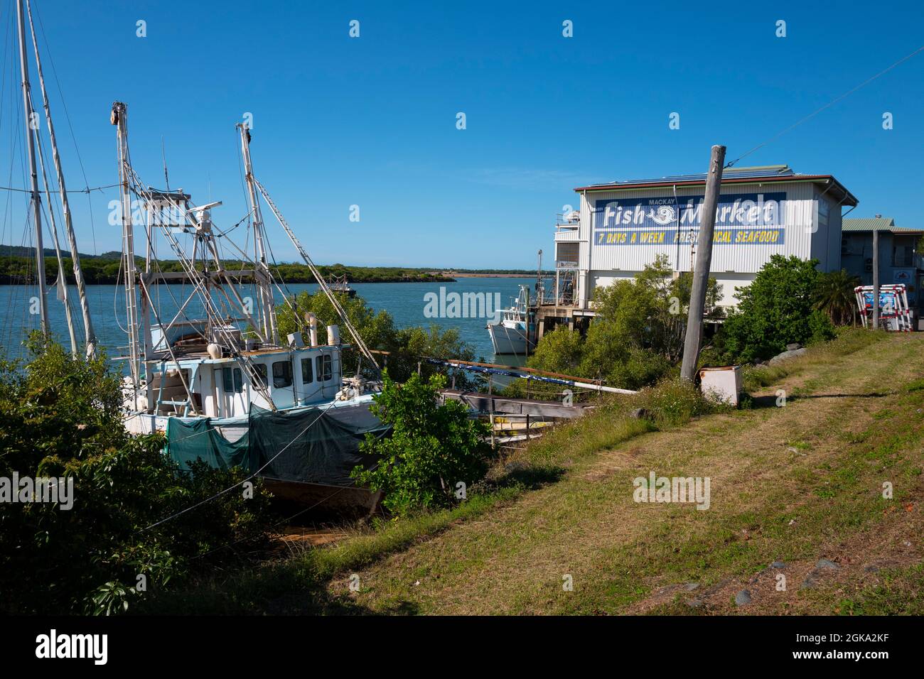 Mackay reef fish supplies hi-res stock photography and images - Alamy