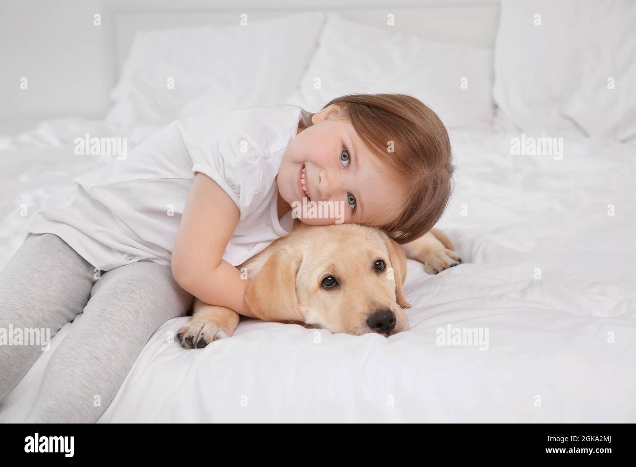 Cute child with Labrador Retriever on bed Stock Photo - Alamy