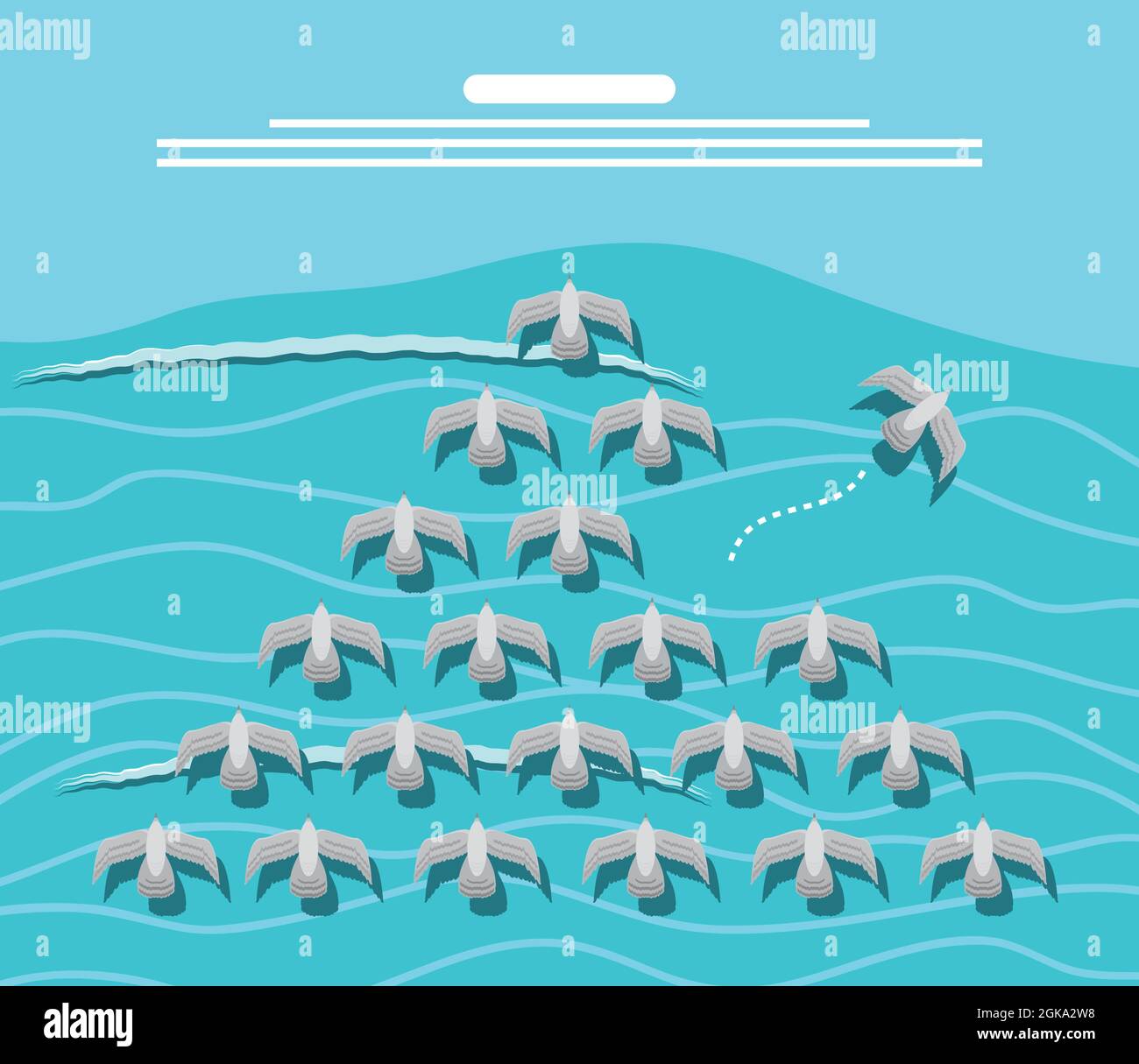 dove changing direction Stock Vector Image & Art - Alamy