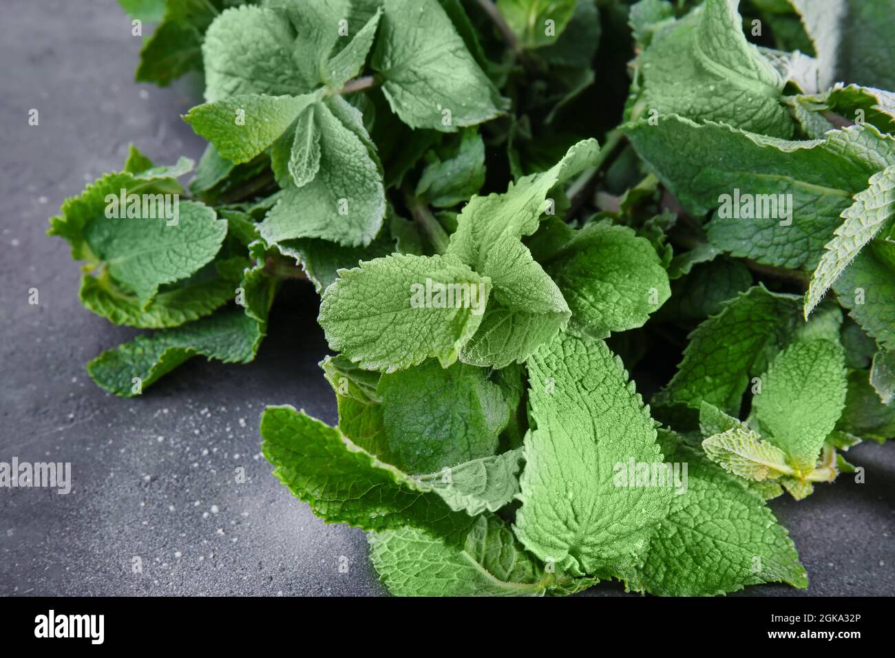 Frozen mint on grey background Stock Photo - Alamy