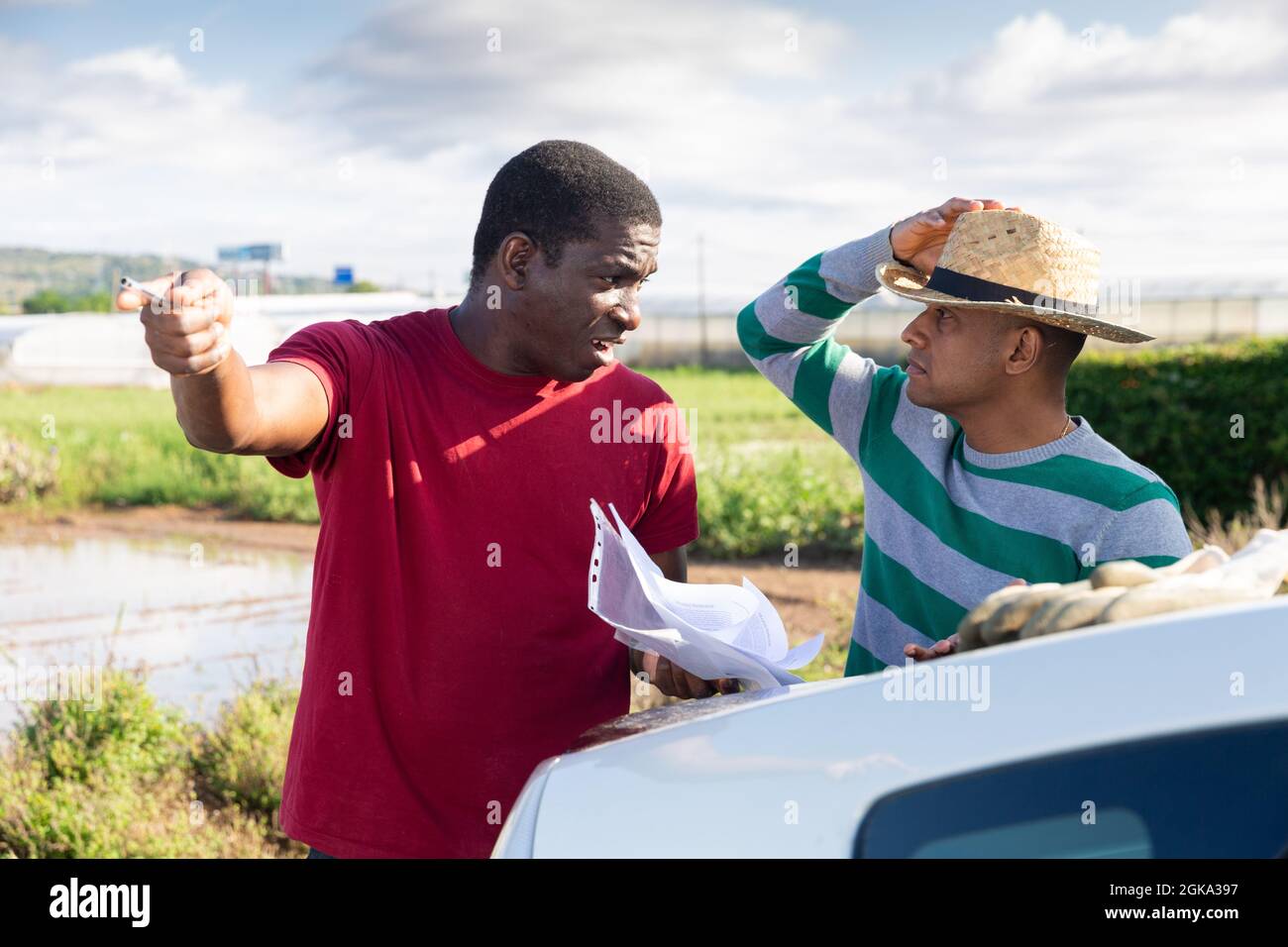 Two farmers with papers arguing on farm Stock Photo - Alamy